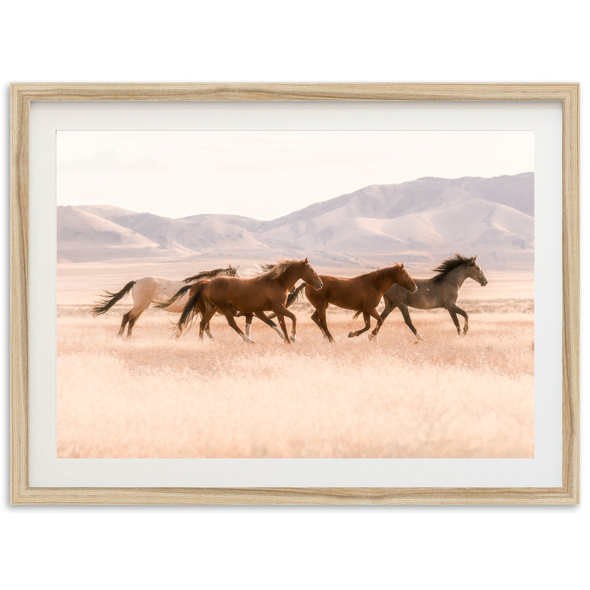 Western Horse Photography Art | Shutter & Frame | Gallop